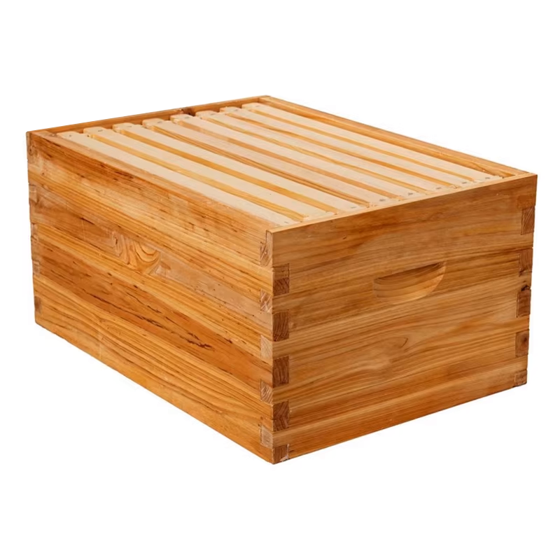 Bug Farmer™ 10 Frame Deep Super with Frames – Bug Farmer Beekeeping